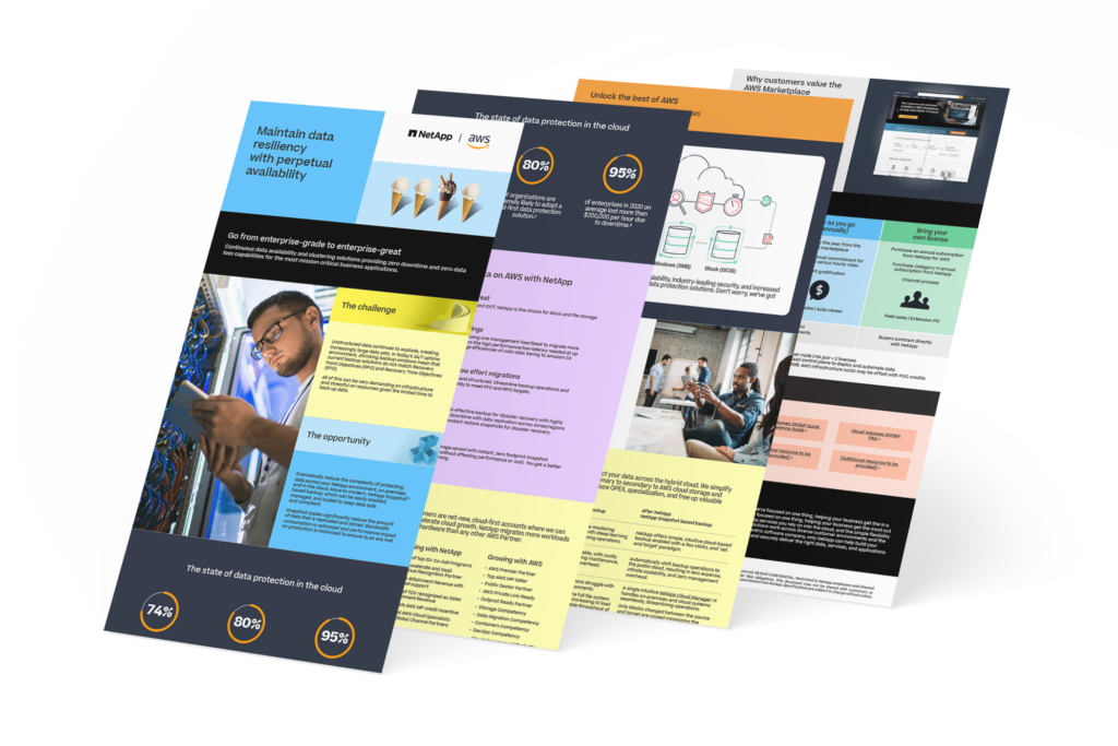NetApp | B2B Conversational Marketing Example | Intercept